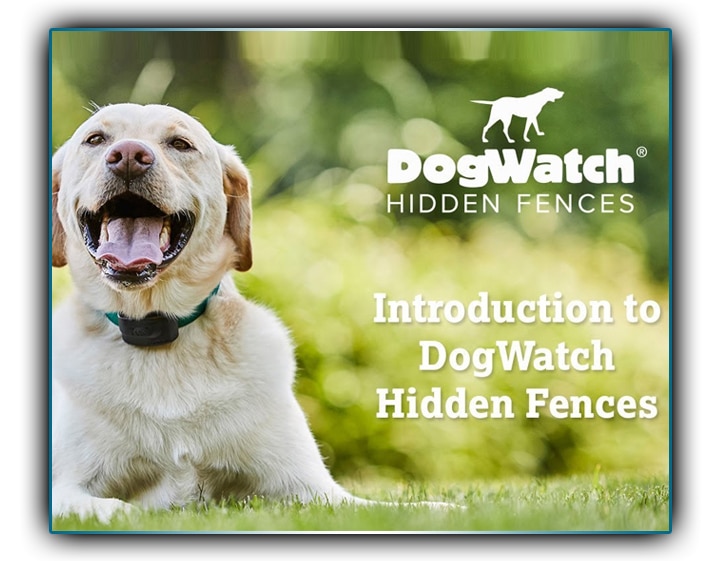 DogWatch Hidden Fences | DeltaFence Man