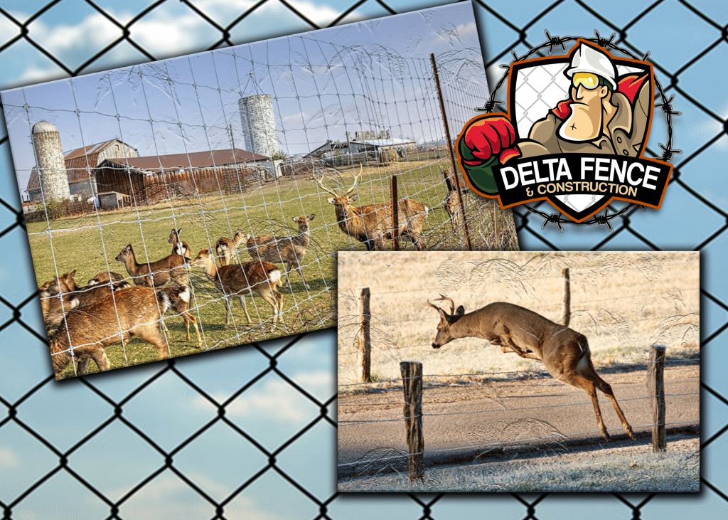 Oh Deer! Let 'em Grow - Plants That Flourish | Delta Fence Man